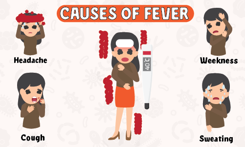 Thyrocare Fever Panel - Advanced (RAPID) | 36 Tests | 55% Off on ...