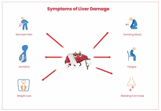 Thyrocare Liver Function Tests | 12 Tests | 55% Off on package price